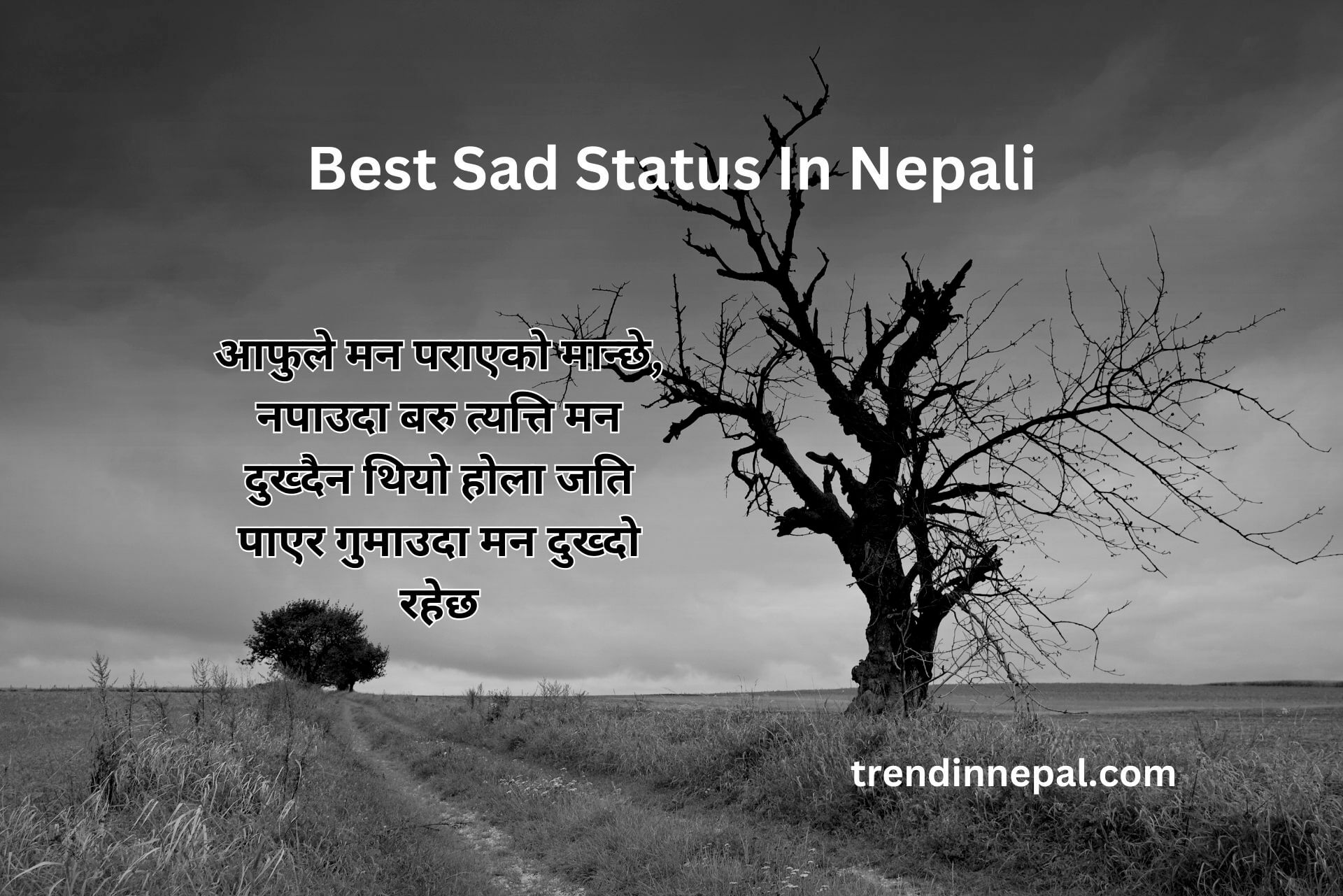 Best Sad Status in Nepali » Trend In Nepal